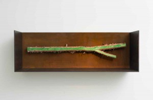 Andrea Branzi | Plank